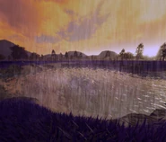 Level 26: "Forest of Psychosis" | Backrooms Redacted Wiki | Fandom