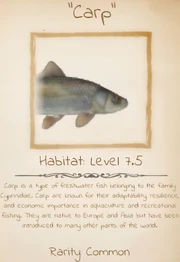 Fish | Backrooms Redacted Wiki | Fandom