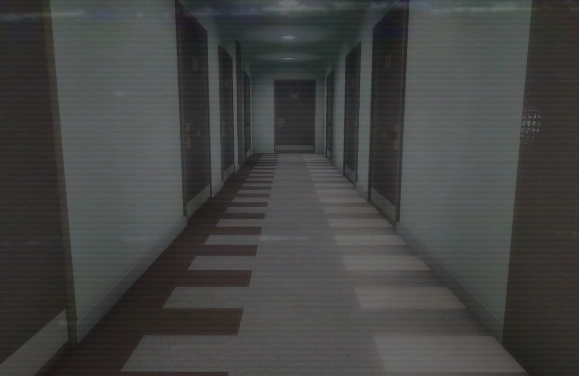 Level 21 “Numbered Doors” | Backrooms Redacted Wiki | Fandom