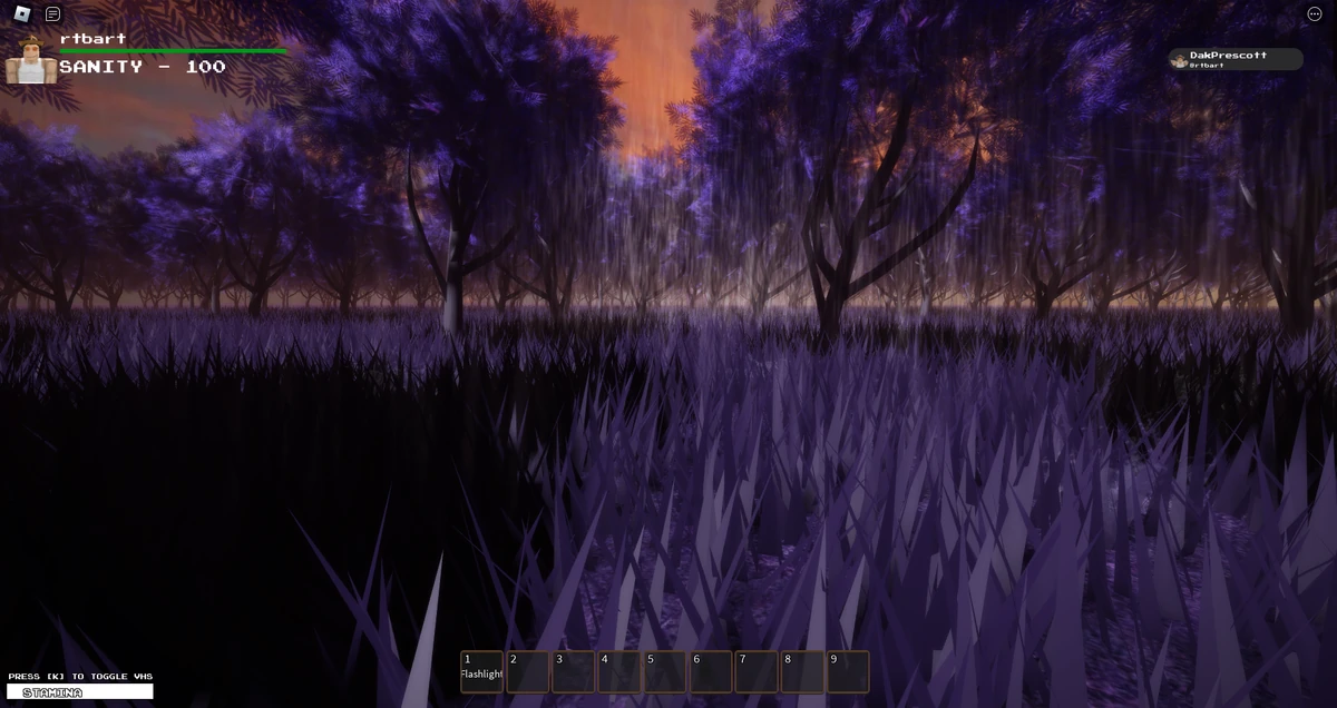 Level 26: "Forest of Psychosis" | Backrooms Redacted Wiki | Fandom