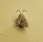 Entity 4: Deathmoth | Backrooms Redacted Wiki | Fandom