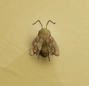 Entity 4: Deathmoth | Backrooms Redacted Wiki | Fandom