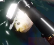 Minor Entities | Backrooms Redacted Wiki | Fandom