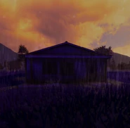 Level 26: "Forest of Psychosis" | Backrooms Redacted Wiki | Fandom