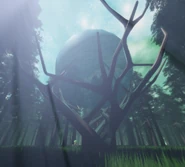 Level 23: "The Petrified Garden" | Backrooms Redacted Wiki | Fandom