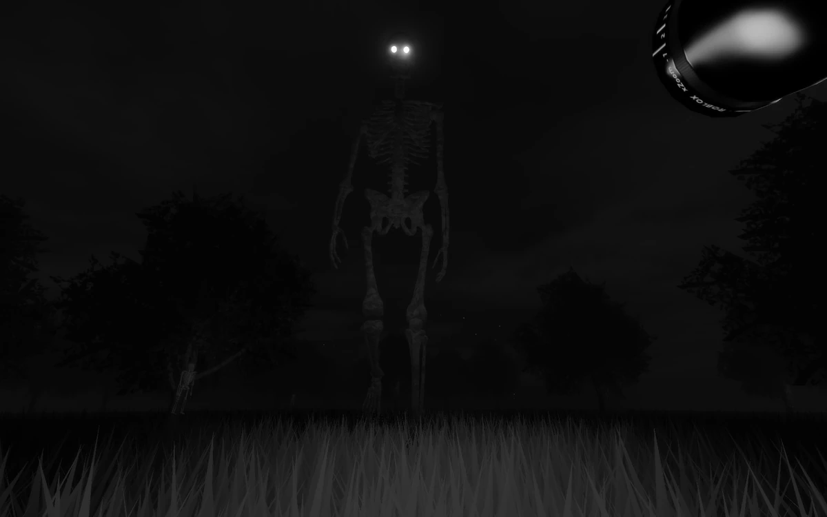 The Skeleton Queen | Backrooms Redacted Wiki | Fandom