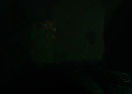 Level 23: "The Petrified Garden" | Backrooms Redacted Wiki | Fandom