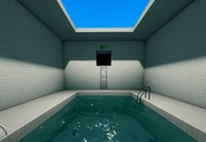 Level 37: "Sublimity" | Backrooms Redacted Wiki | Fandom