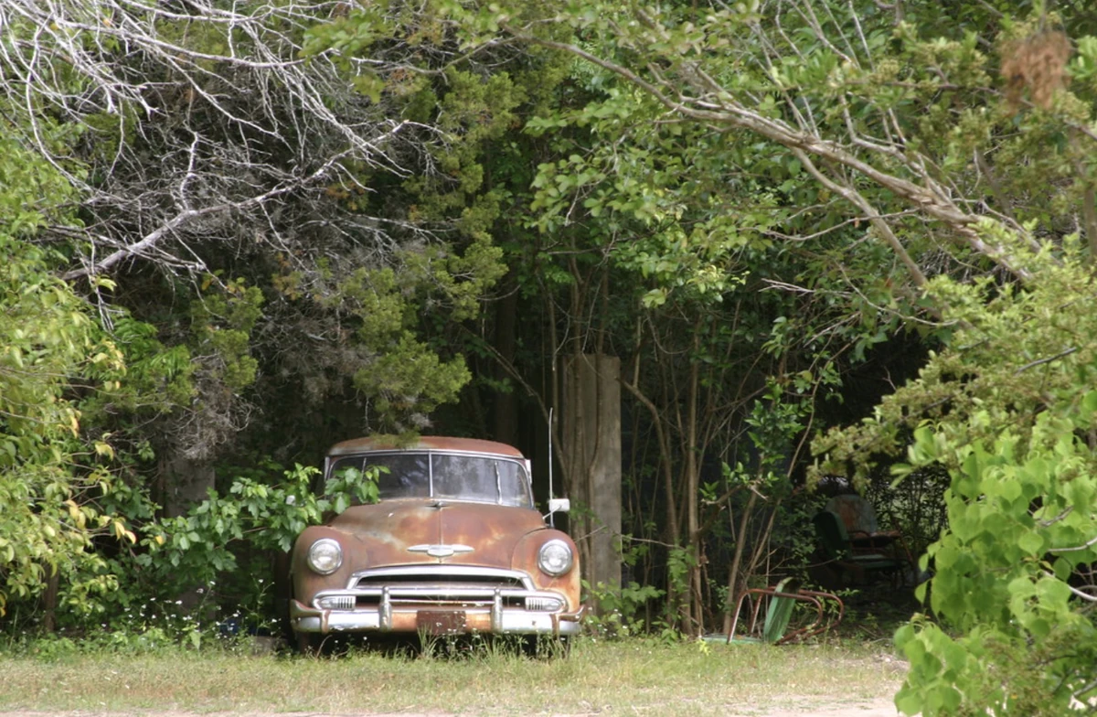 Category:Entities | Backrooms: Revisited Wiki | Fandom