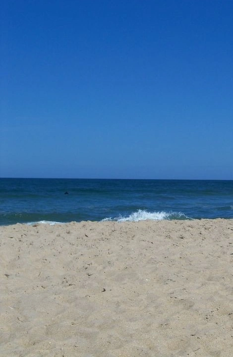 Level 100 | Backrooms: Revisited Wiki | Fandom