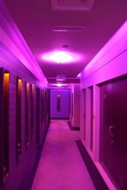 Level 199 | Backrooms: Revisited Wiki | Fandom