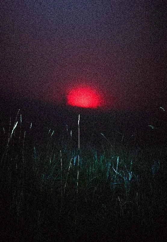 Level 9.1 | Backrooms: Revisited Wiki | Fandom