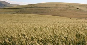 Levels | Backrooms Seclusion Wiki | Fandom