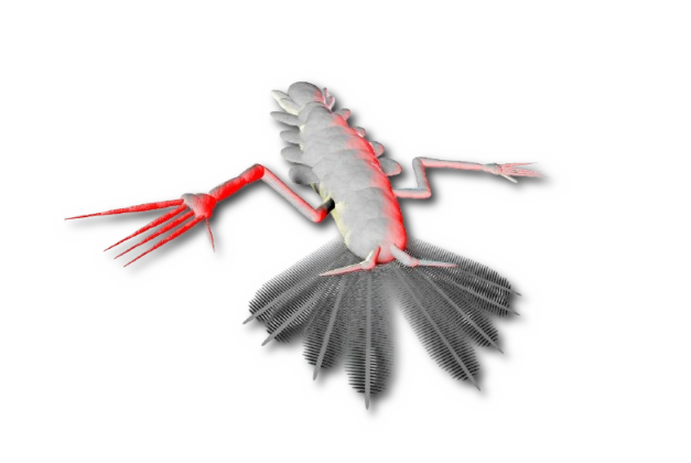 Abyssal Copepod | Backrooms: The Last Hope Wiki | Fandom