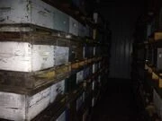 Level 7.7 | Backrooms Wiki 2021 Archival Wiki | Fandom