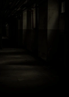 Level 225 | Backrooms Wiki 2021 Archival Wiki | Fandom