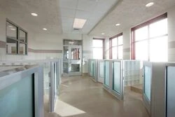 Level 241 | Backrooms Wiki 2021 Archival Wiki | Fandom