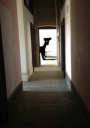 Level 5 | Backrooms Wiki 2021 Archival Wiki | Fandom