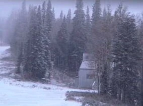 Level 165- Frozen Earth | Backrooms Wiki 2021 Archival Wiki | Fandom