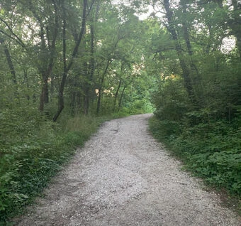 Level 364:Asian Forest | Backrooms Wiki 2021 Archival Wiki | Fandom