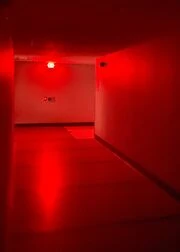 Level !: "Run For Your Life!" | Backrooms Wiki 2021 Archival Wiki | Fandom