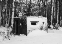 Level -5 | Backrooms Wiki 2021 Archival Wiki | Fandom