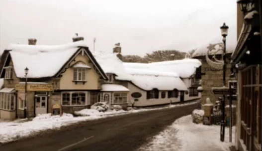 Level -81 | Backrooms Wiki 2021 Archival Wiki | Fandom