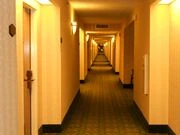 Level Q: Living Office | Backrooms Wiki 2021 Archival Wiki | Fandom