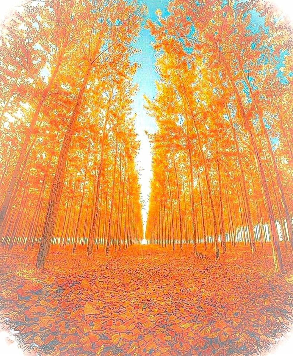 Level 140 | Backrooms Wiki 2021 Archival Wiki | Fandom