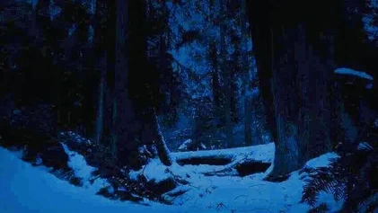 Level 140 | Backrooms Wiki 2021 Archival Wiki | Fandom