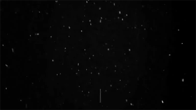 Discuss Everything About Backrooms Wiki | Fandom