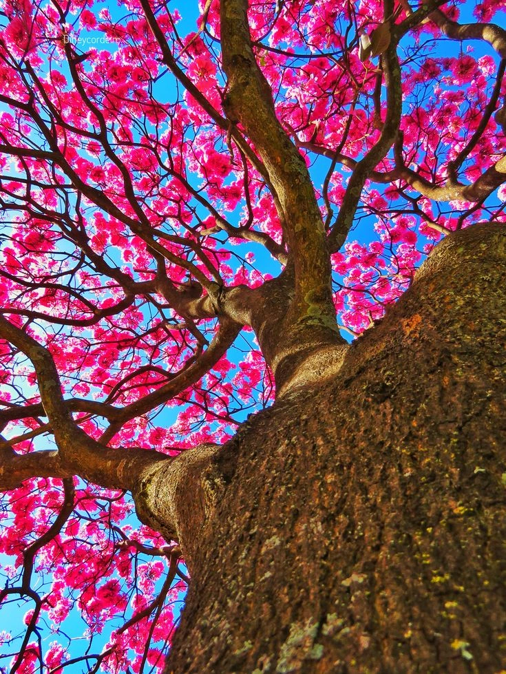 Nível 10-PT | Wiki Backrooms | Fandom