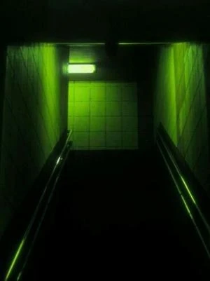 Level 114: "Sciophobia" | Backrooms Wiki | Fandom