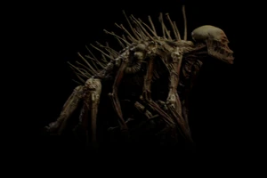 The Abomination | Backrooms Wiki | Fandom