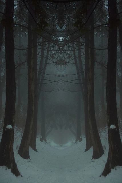 Level 701: "嗥啸森林" "ᴛʜᴇ ʜᴏᴡʟɪɴɢ ꜰᴏʀᴇꜱᴛ" | Backrooms Wiki | Fandom