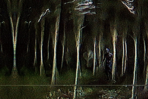 Level 9/Entities | Backrooms Wiki | Fandom