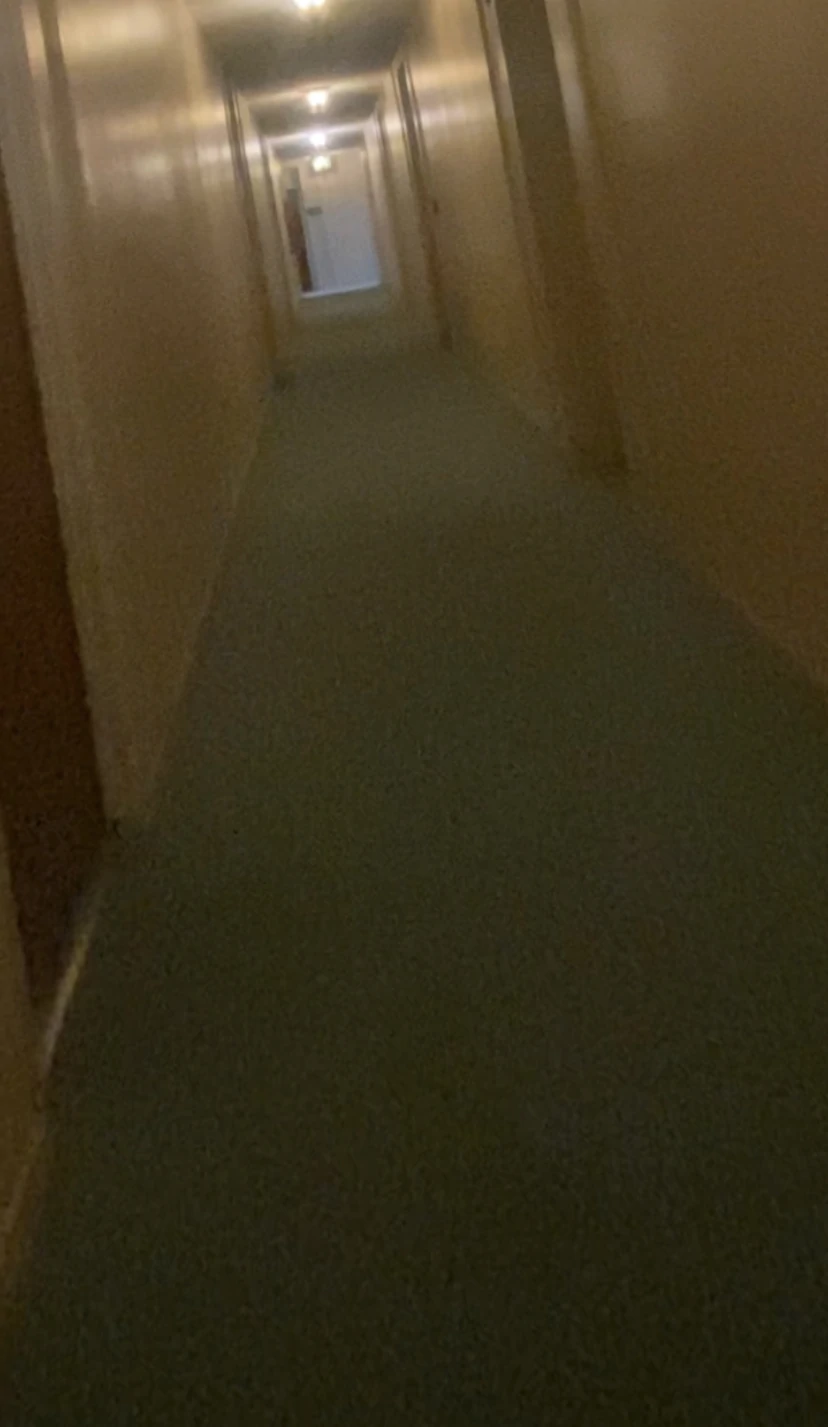 Niveau 42 | Wiki Backrooms | Fandom