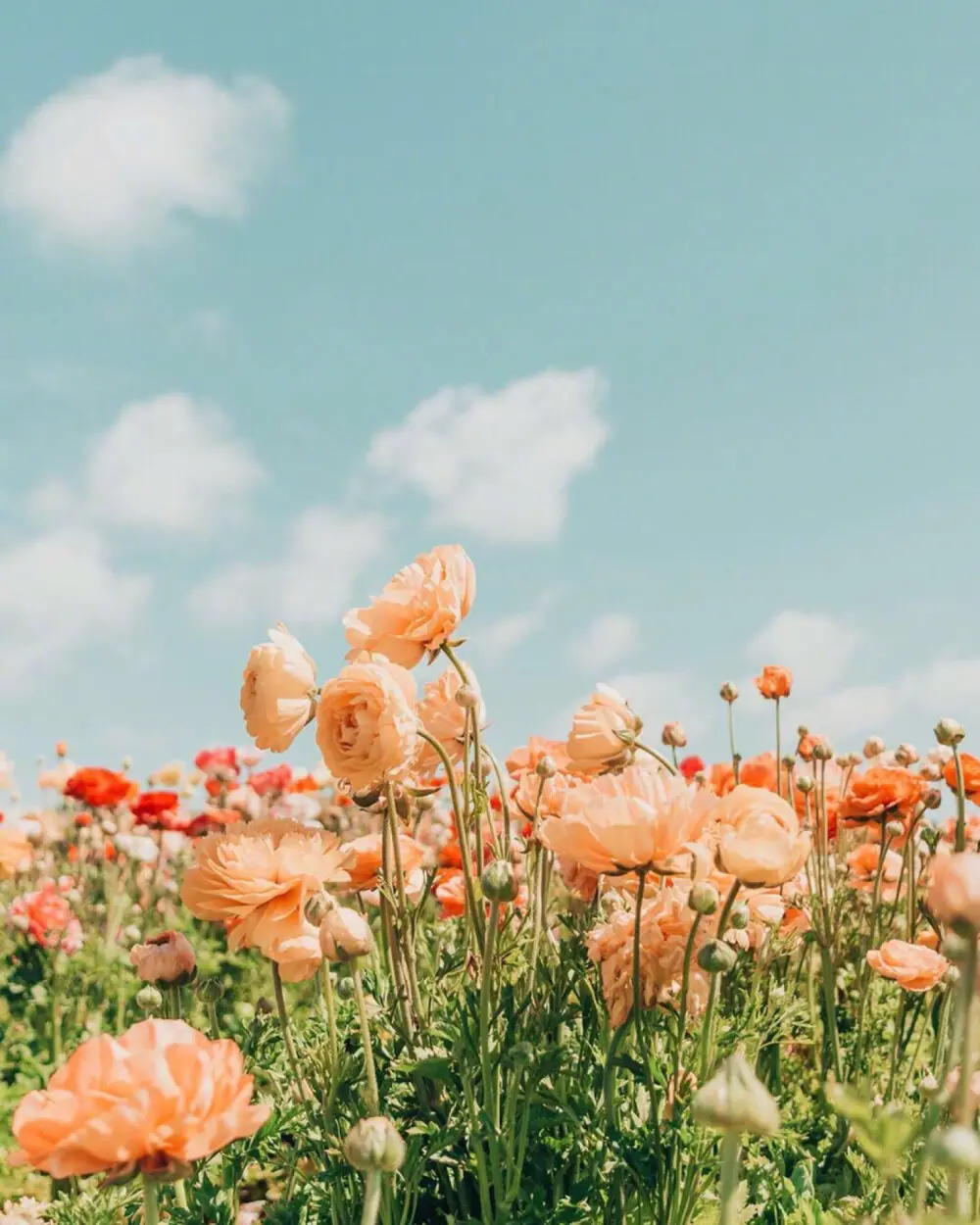 Level ZH 320:来自于家的温暖…… | Backrooms Wiki | Fandom