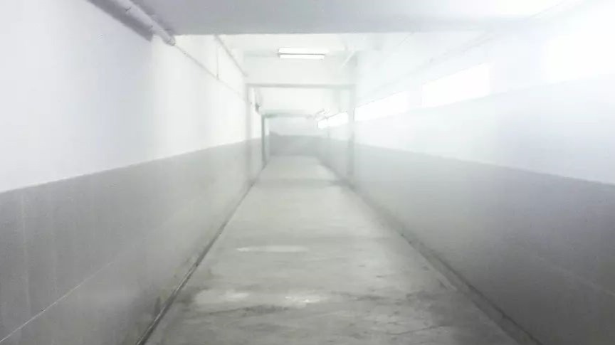 Level 141: "White Segmentation" | Backrooms Wiki | Fandom