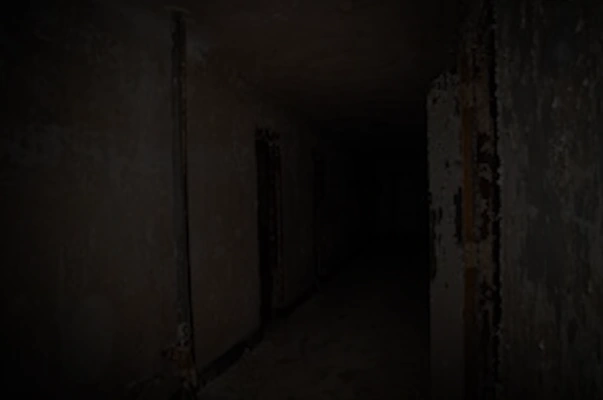 Level 6.78: "Wherefore Bluffing" | Backrooms Wiki | Fandom