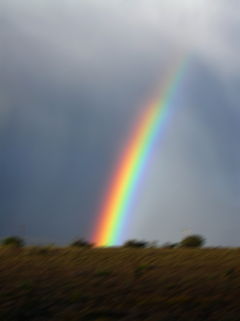 Entity 14: Rainbows | Backrooms Wiki | Fandom