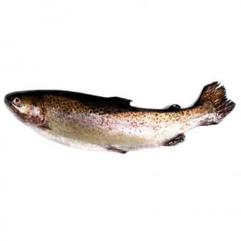 Entidad 57 "Truchas" | Wiki Backrooms | Fandom