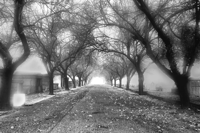 Level -666 η: "The Dead Frontrooms" (死んだ現実世界) | Backrooms Wiki | Fandom