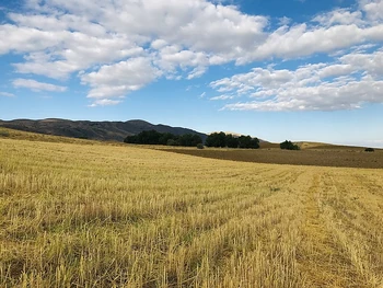 Level 995 η: "表には裏がある" | Backrooms Wiki | Fandom