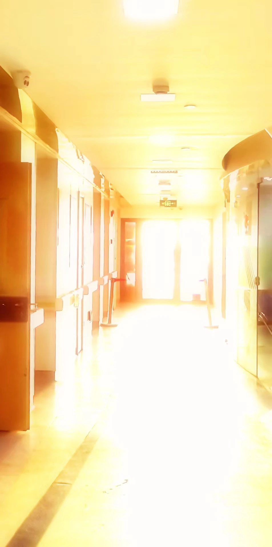 Level ZH 292: "迷走神经的脉冲，前扣带回的燃烧" | Backrooms Wiki | Fandom