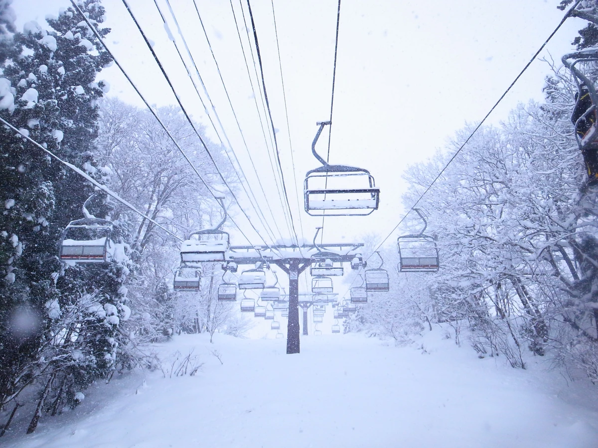 Level 220 η: "The Arctic Ski Resort" (酷寒のゲレンデ) | Backrooms Wiki | Fandom