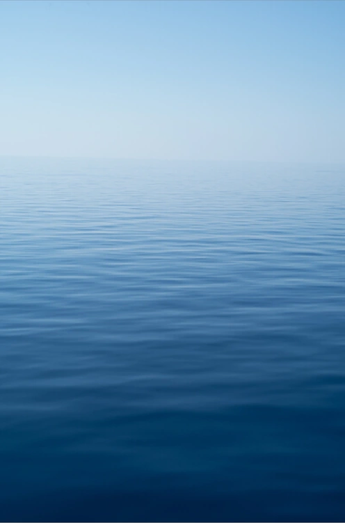 Level ZH 714:“勿忘我" | Backrooms Wiki | Fandom