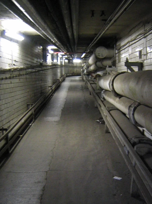 Backrooms Simulator | Backrooms Wiki | Fandom