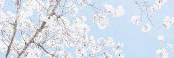 𝑆𝑝𝑟𝑖𝑛𝑔 𝐻𝑎𝑠 𝐶𝑜𝑚𝑒 | Backrooms Wiki | Fandom