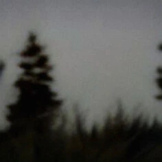 Level 142:“笔记本” | Backrooms Wiki | Fandom